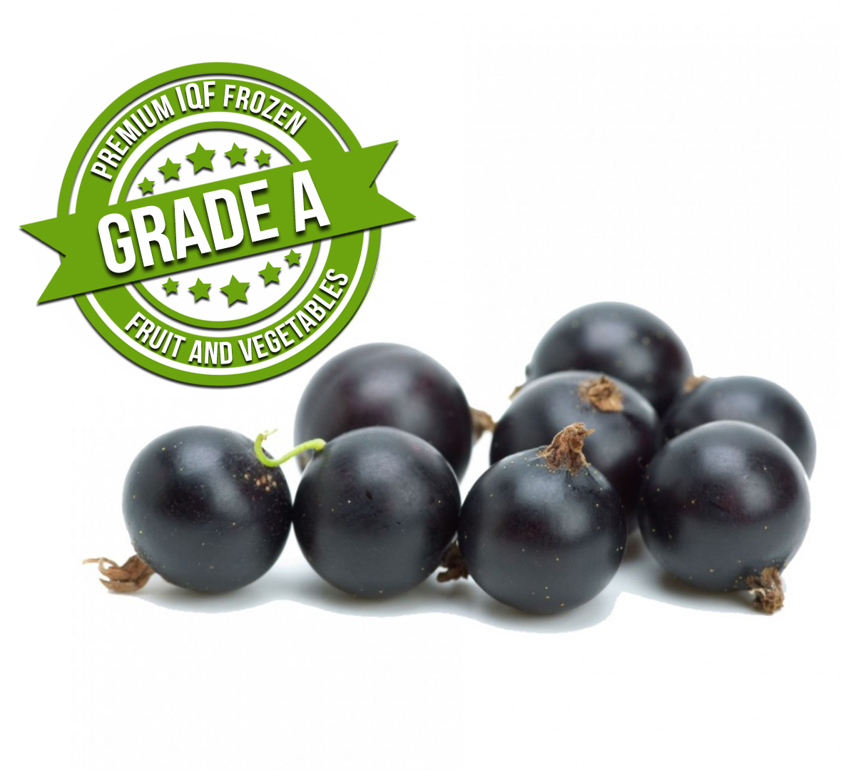 Frozen Blackcurrants (10kg) | Projuice Offer a Wide Range of Frozen Fruit