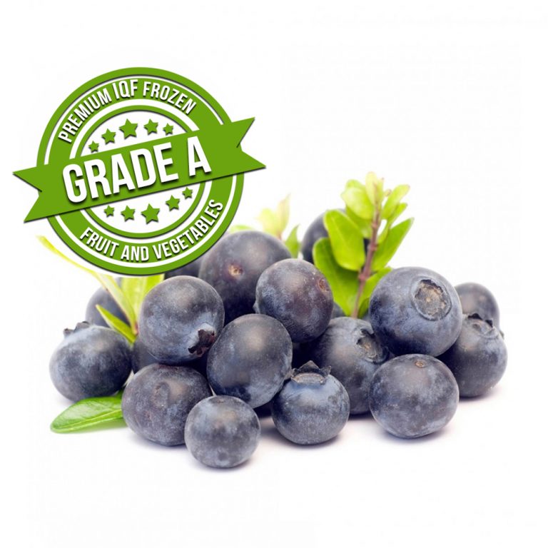 Wild Blueberries: Top 10 health benefits of a true superfood