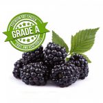 Buy Bulk Frozen Fruit | Wholesale Fruit Suppliers & Distributors