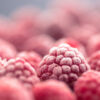 Buy Bulk Frozen Fruit | Wholesale Fruit Suppliers & Distributors